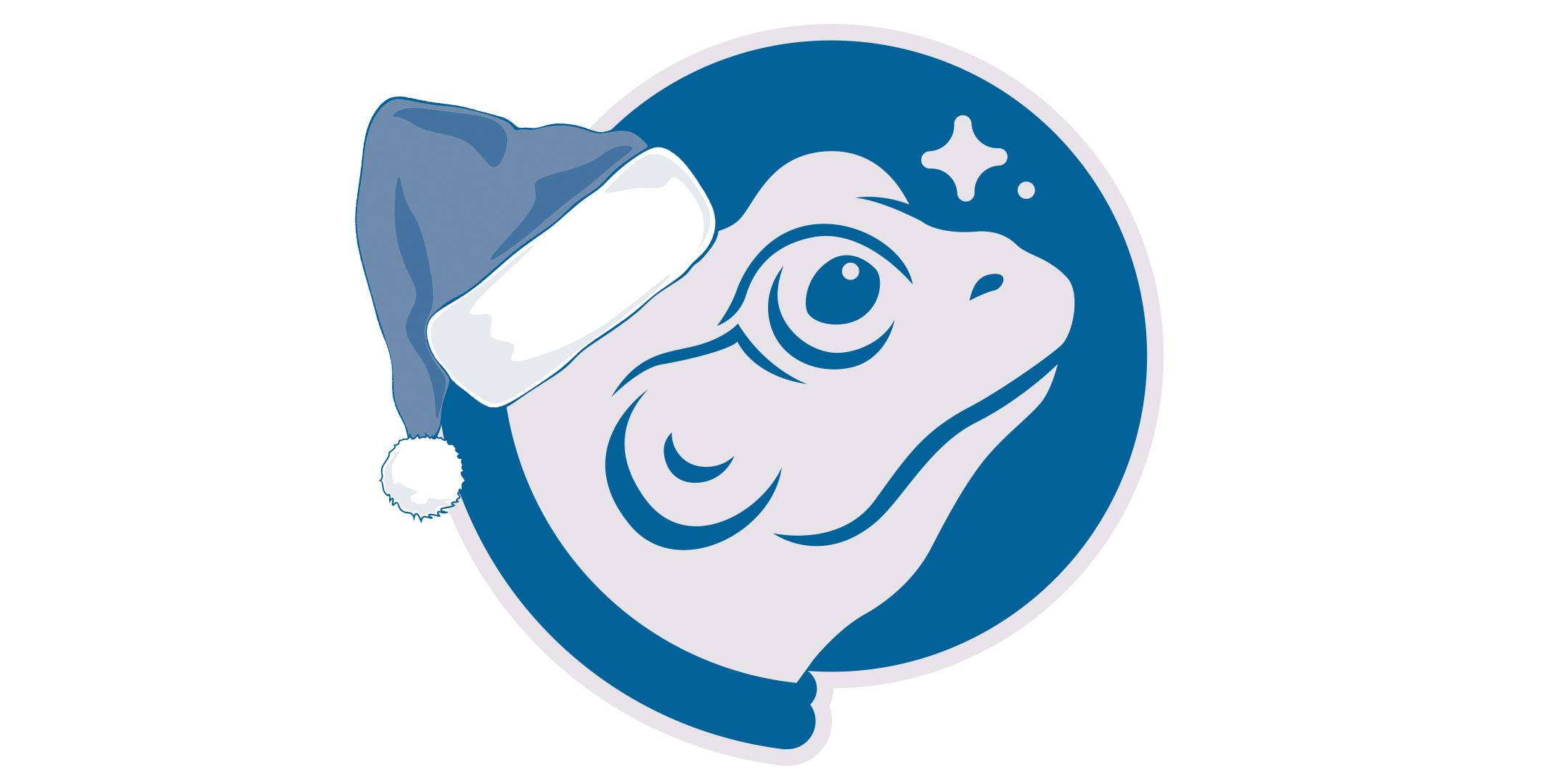 Do This: Rocket Frog Winter Warmer Fest (12/1/18) – A DC Journey